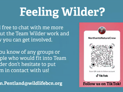 Say Hello to Team Wilder | Wildlife Trust for Beds Cambs & Northants